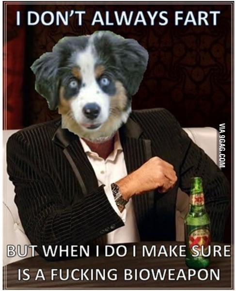 IT REALLY STINKS! - 9GAG