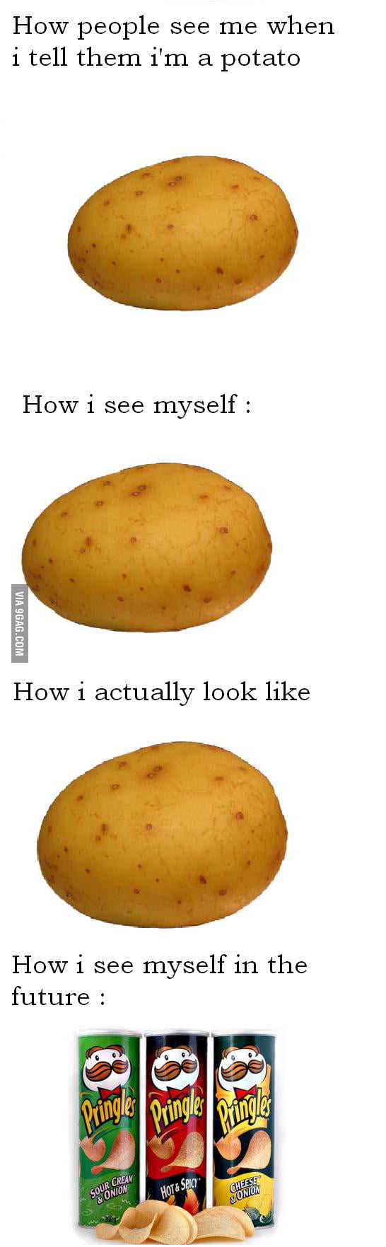 Well,once a potato,always a potato. - 9GAG