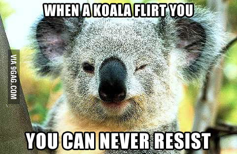 Helloooo ladies! - 9GAG