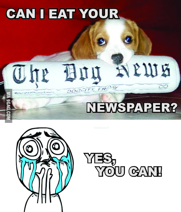 Can I eat your newspaper? - 9GAG