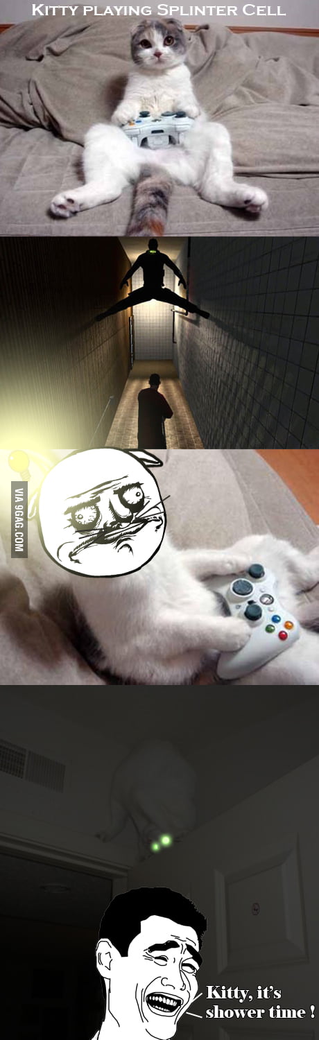Splinter Cat - 9GAG