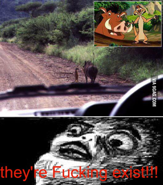 Timon&Pumpa - 9GAG