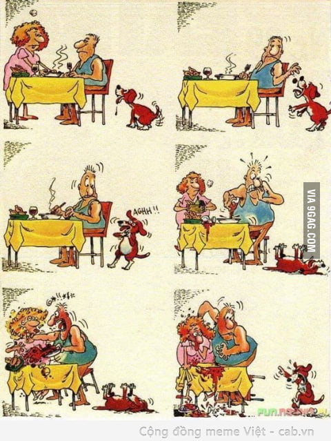 Nice Dog - 9GAG