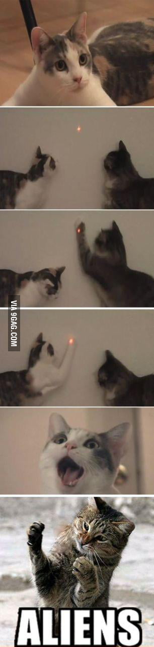 Cat Aliens - 9GAG