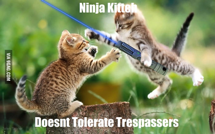 Ninja kitteh - 9GAG