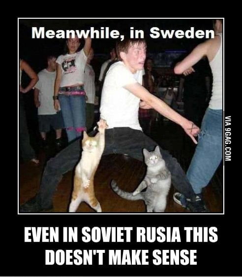 Meanwhile in Sweden - 9GAG