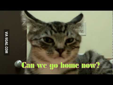 Jake at the VET - 9GAG