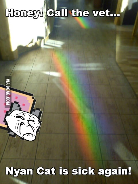 Damn Nyan Cat - hurling all over the place! - 9GAG