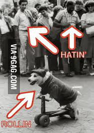 JUST A ROLLIN DOG.... - 9GAG