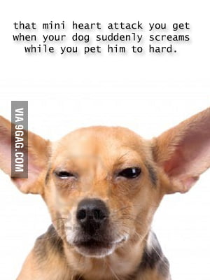Oh my god... IM SO SORRY! - 9GAG