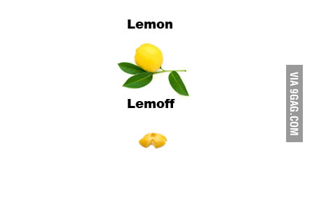Lemoff. - 9GAG