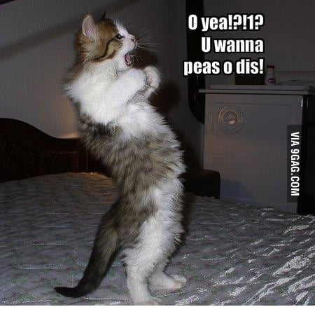 WELL DO YA PUNK ? - 9GAG