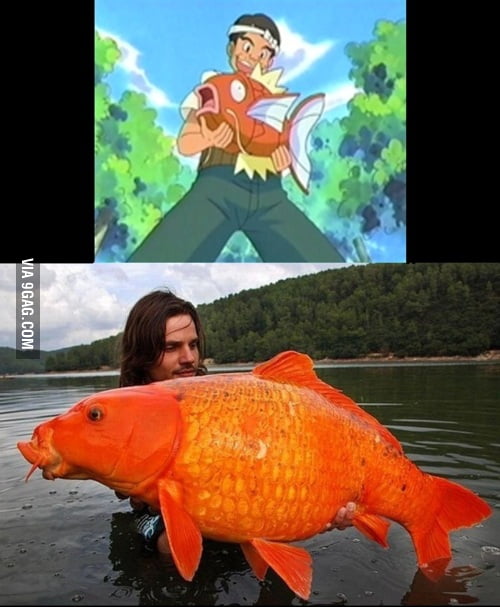 Magikarp IRL - 9GAG