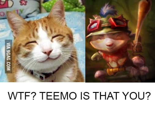 Dat Teemo - 9GAG