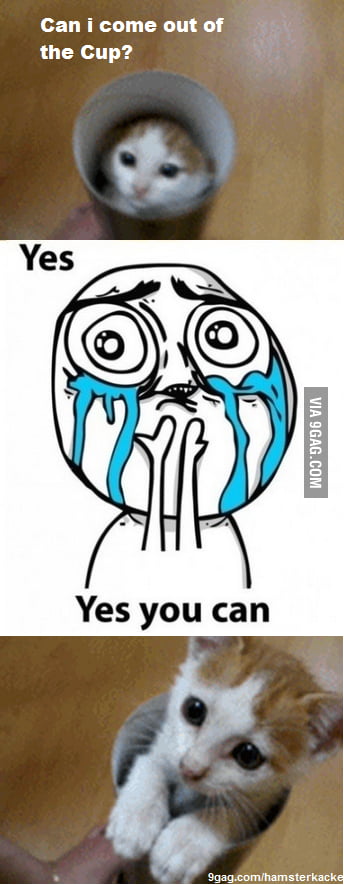 Yes, yes you can! - 9GAG