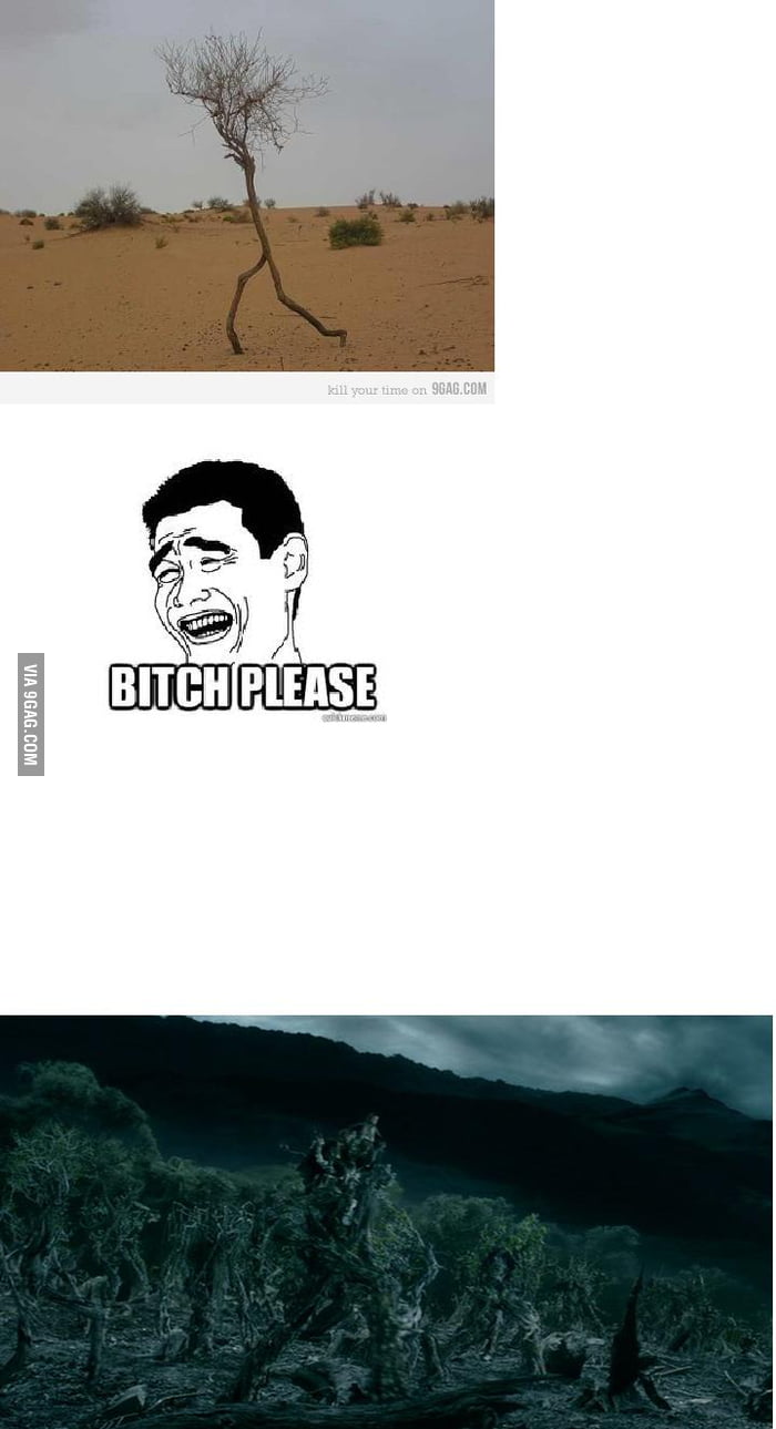 That's what you call a running tree? - 9GAG