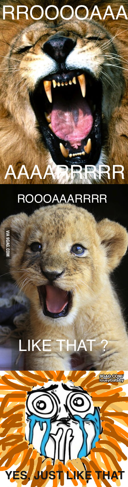 RRROOOAAARRR - 9GAG