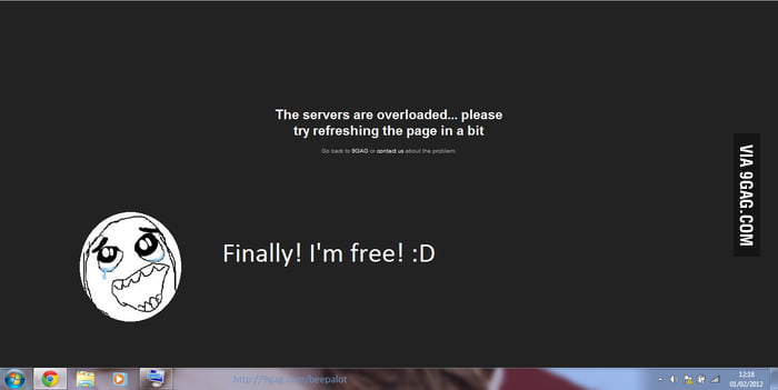 The sweet taste of freedom... - 9GAG