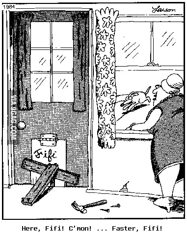 Faster Fifi! - 9GAG
