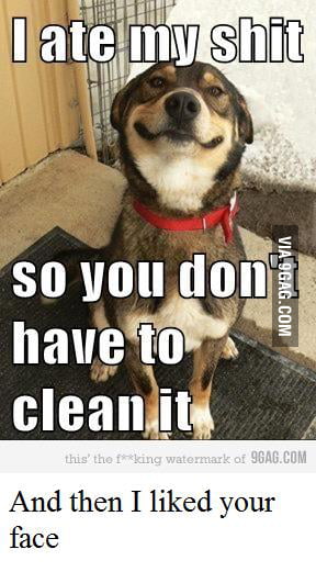 Good dog Greg [Fixed] - 9GAG