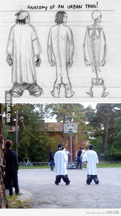 Gangsta Anatomy - 9GAG