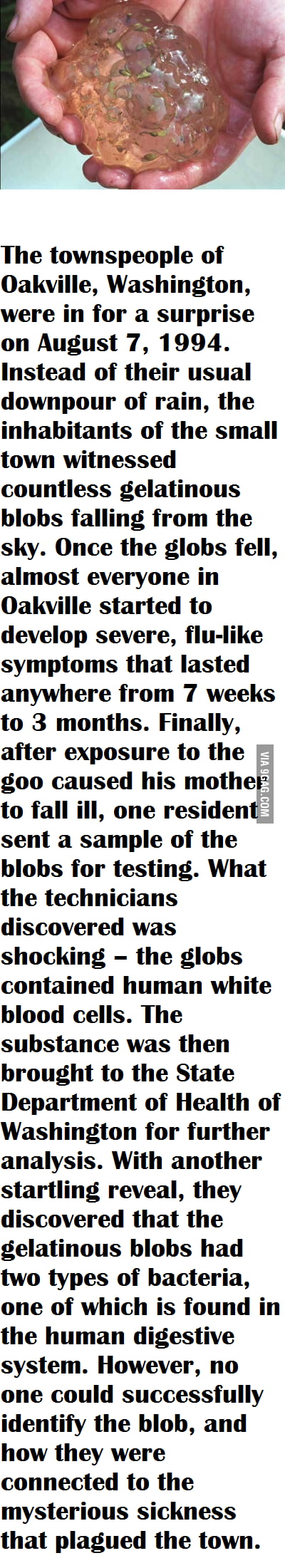 Gelatinous blobs - 9GAG