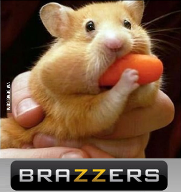 Moar brazzerz - 9GAG