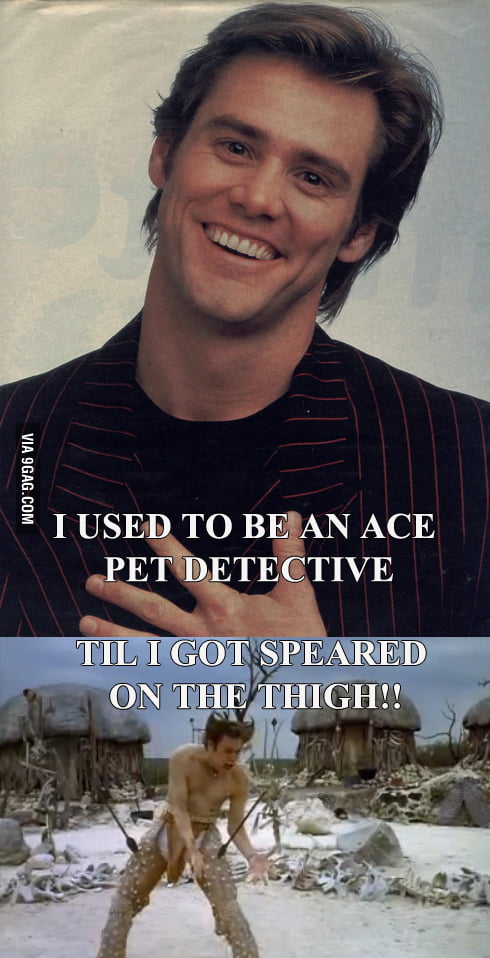 I used to be an Ace Pet Detective... - 9GAG