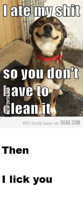 Good Dog Greg [Fixed] - 9GAG