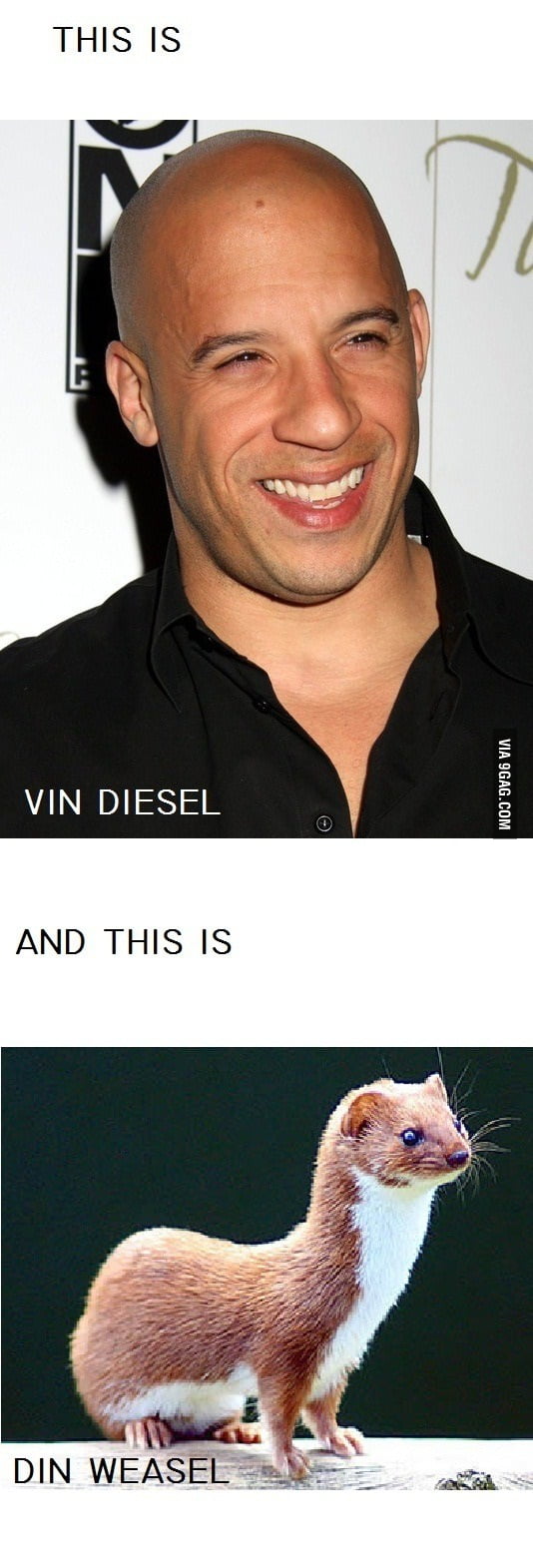 Just to be clear - 9GAG