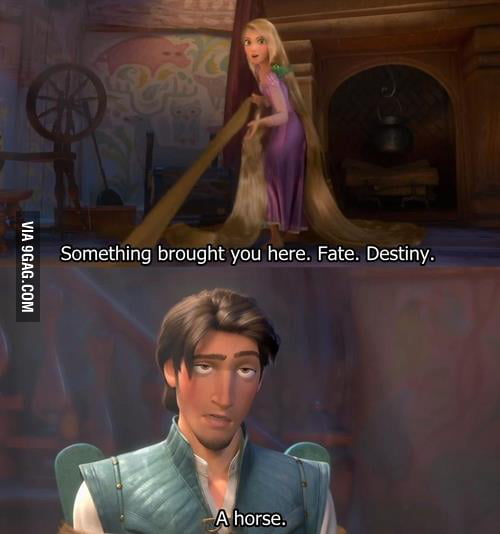 Blondes 9gag