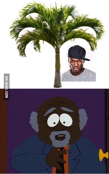 Tree 50 - 9GAG