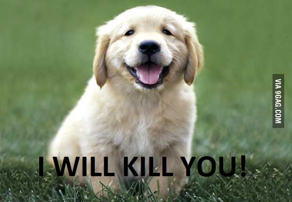 Killer Puppy - 9GAG