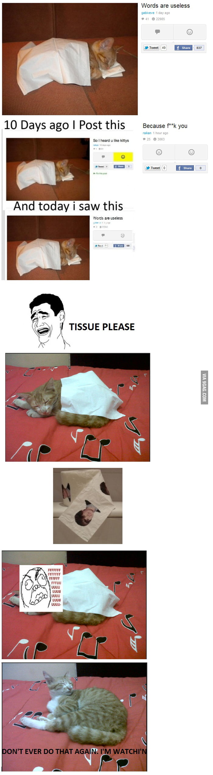 Catception fail. oh no, Bieber again - 9GAG