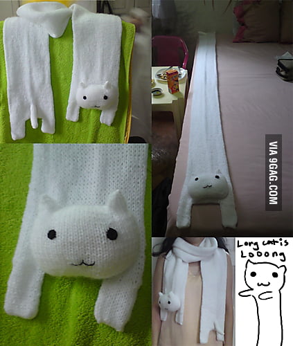 Long cat is loooooong - 9GAG