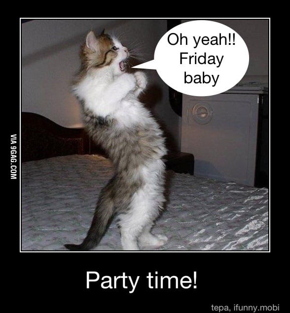 Hell yeah its Friday - 9GAG