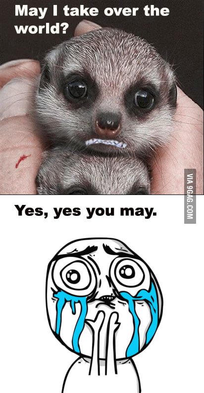 Cuteness Overlord - 9GAG