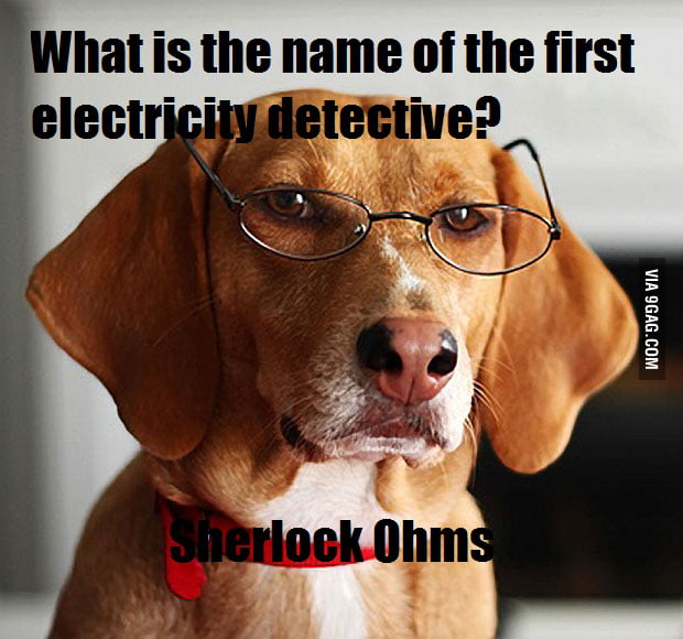I Give To You The Physics Dog! - 9GAG