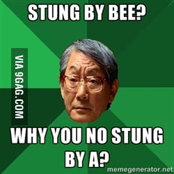 Stung by bee, y u no A - 9GAG