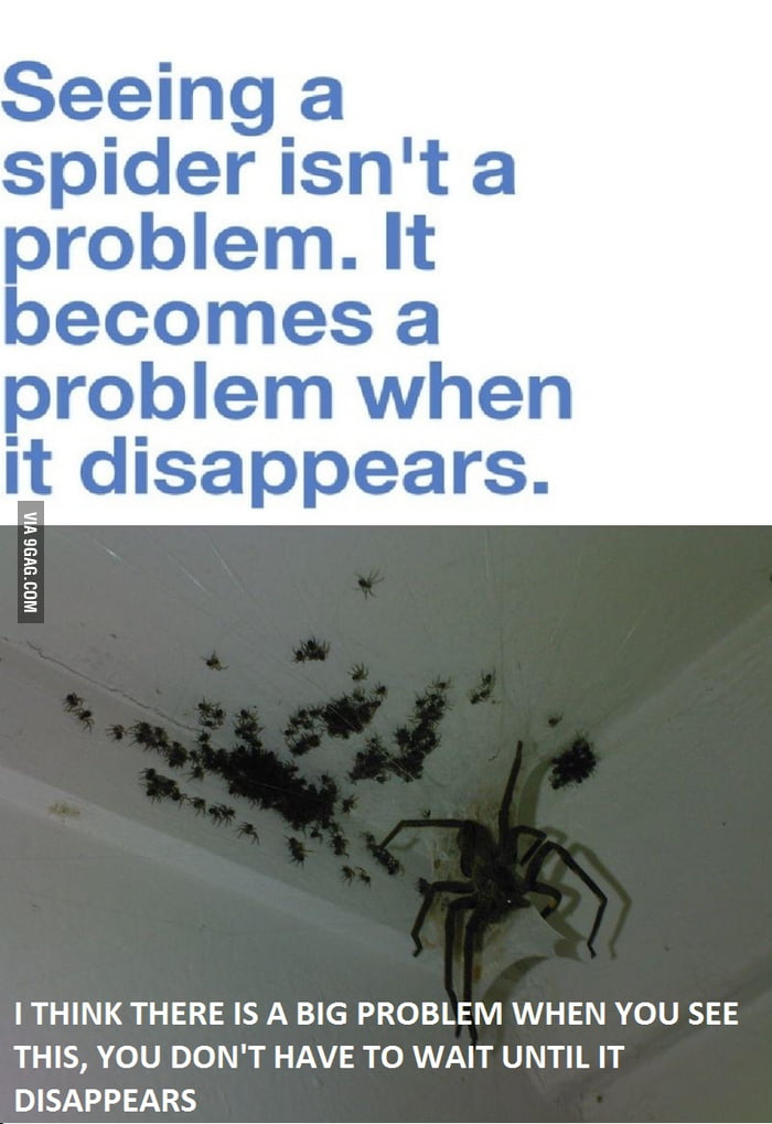 Just a spider and... What? - 9GAG