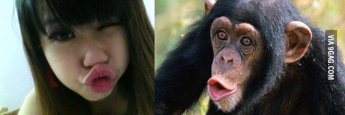 A new generation : Monkey Face - 9GAG