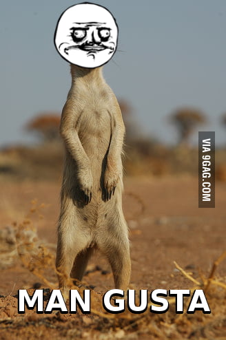 MAN GUSTA - 9GAG