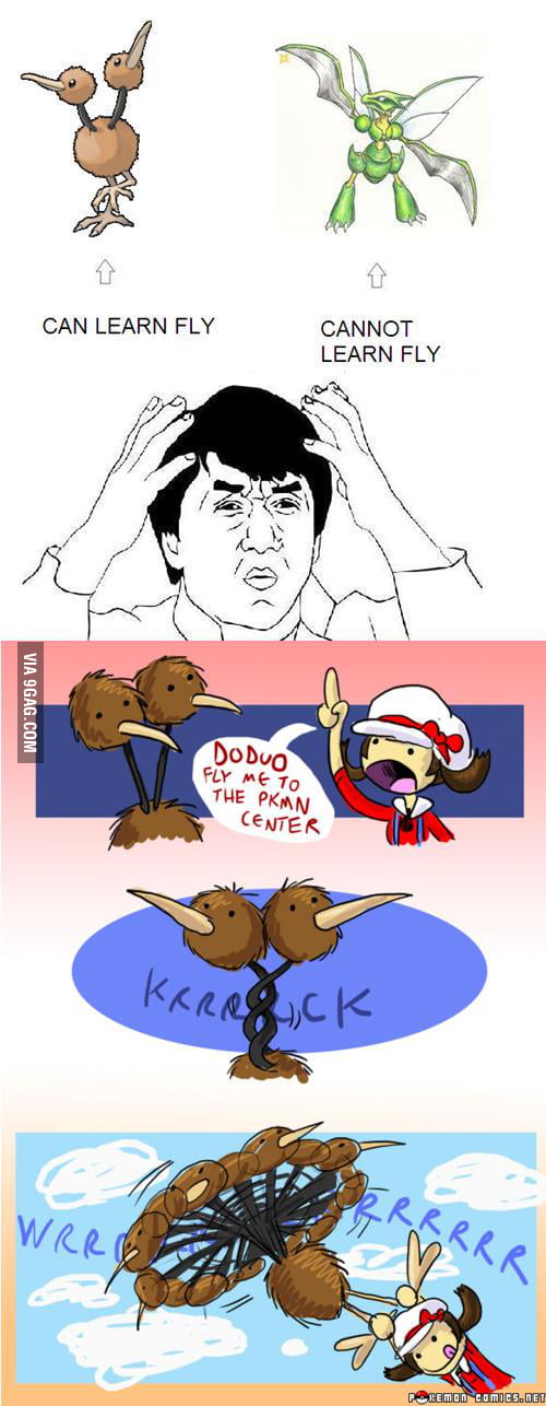 The first world problem to make a doduo fly - 9GAG