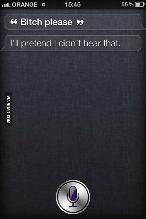 Siri- B*tch PLZ - 9GAG