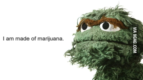 Oscar is Marijuana! - 9GAG