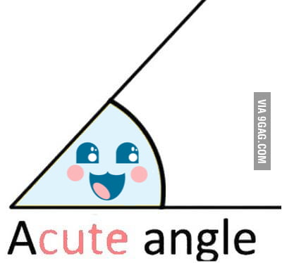 Acute angle - 9GAG