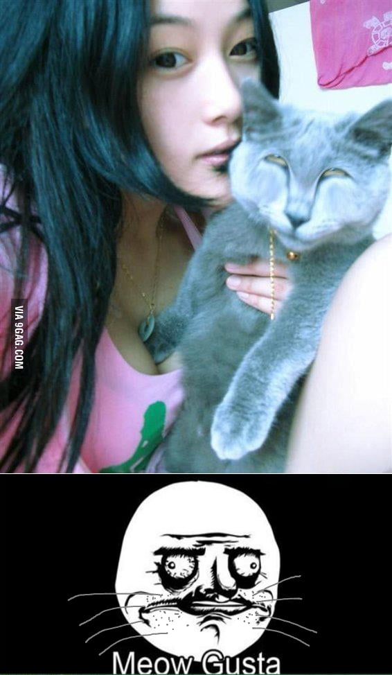Meow gusta - 9GAG