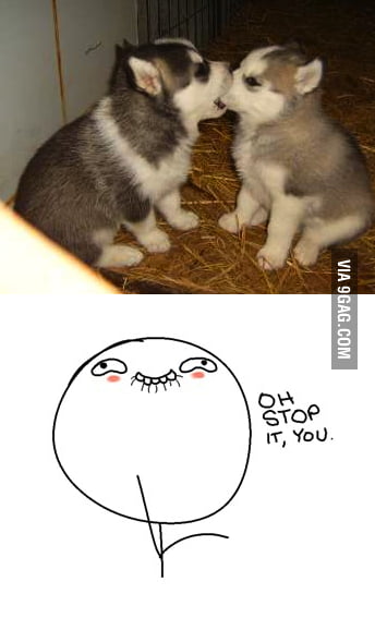 Ohh, stop it, you. - 9GAG