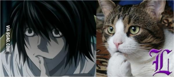 Death Note. L vs. Cat - 9GAG