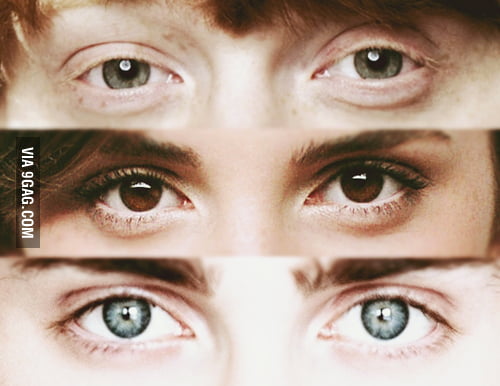 Whose eyes are these? - 9GAG